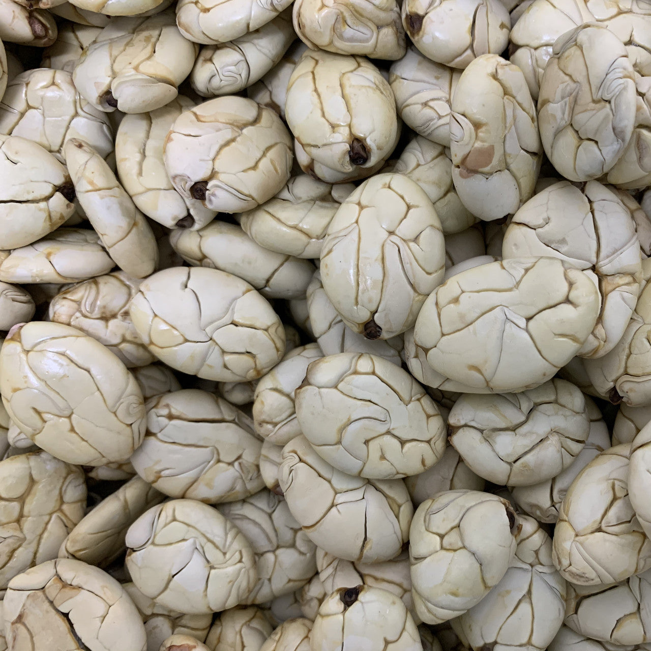 Macambo - Jaguar White Cacao – CocoaSupply.ca